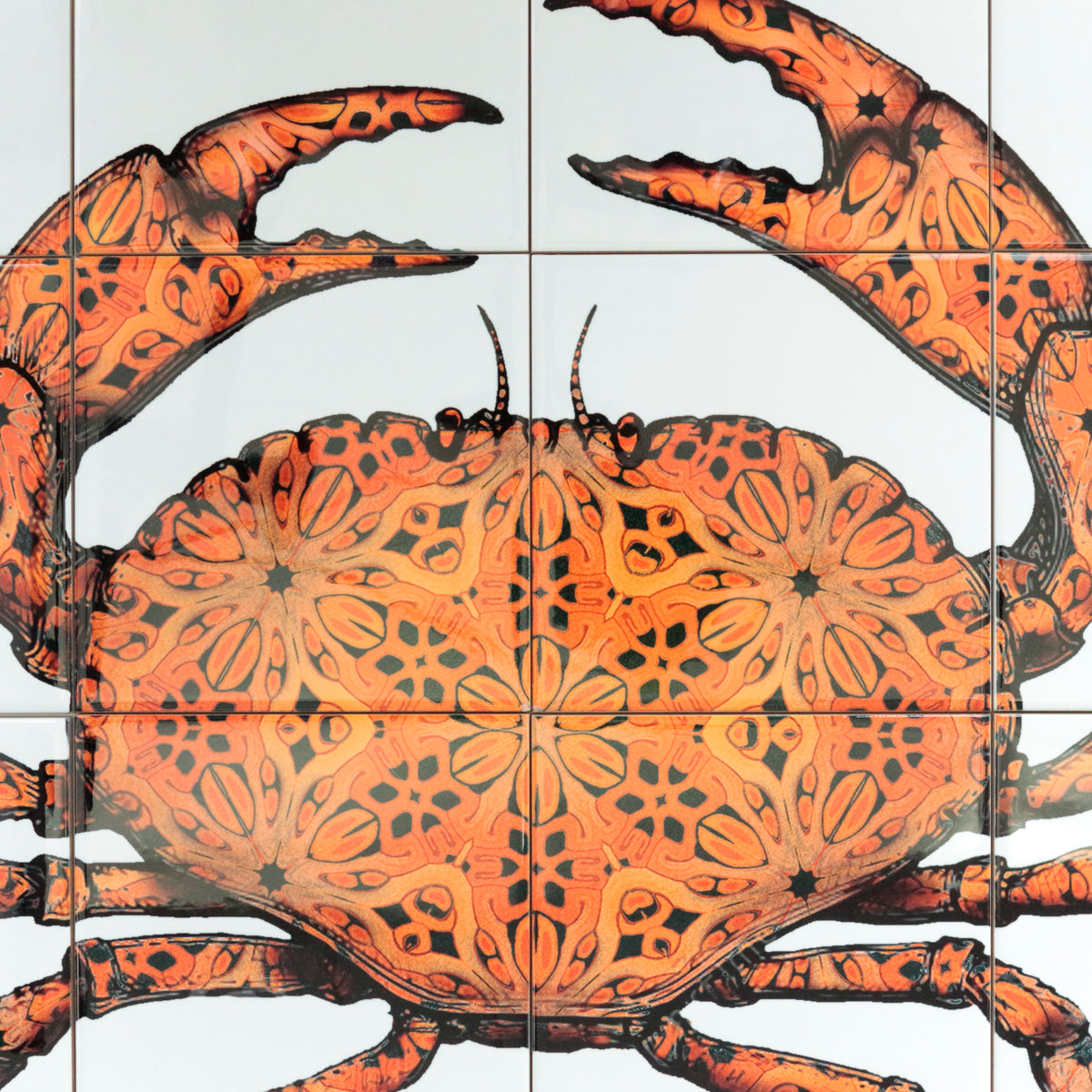 Crab Tile Mural - White Background – DoodlePippin