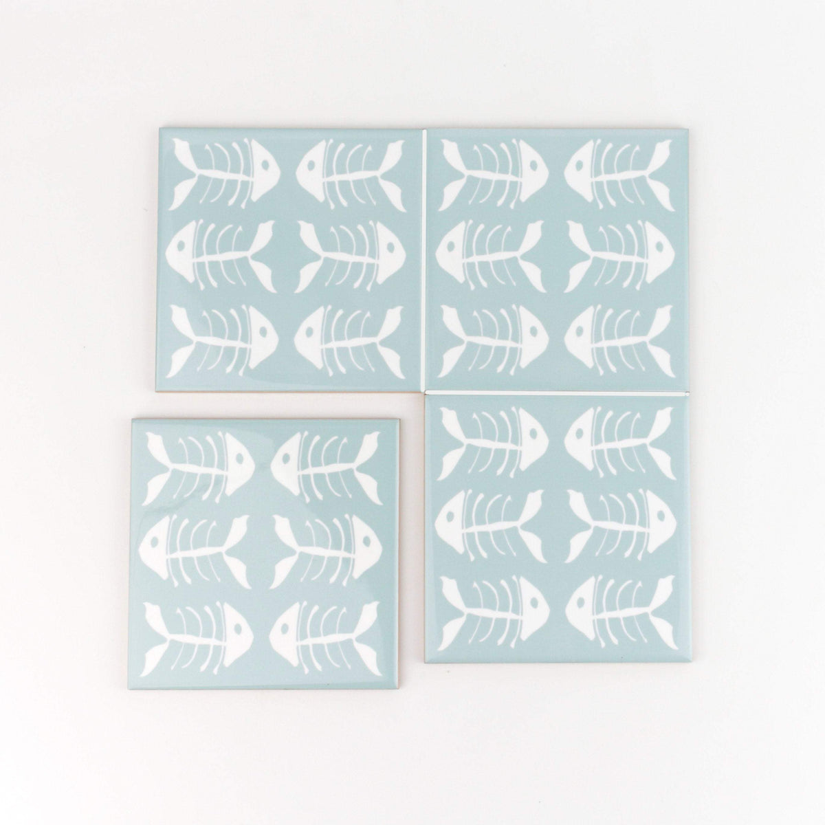 Bonefish Aqua White Decorative Ceramic Tiles – DoodlePippin